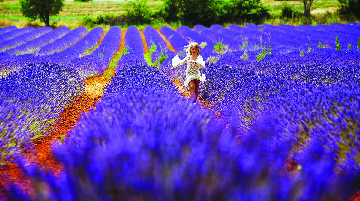 Provansa - Mondo Travel