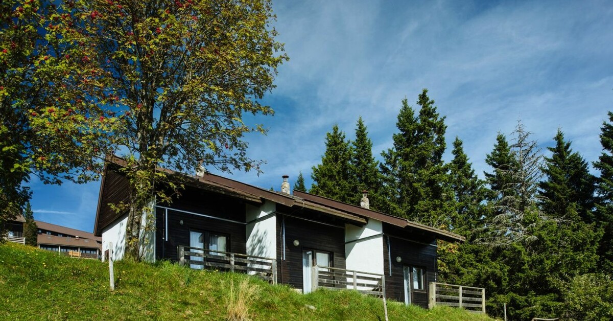 Rogla, Bungalovi Rogla 3*, Proljeće, Ljeto. Jesen - Mondo Travel